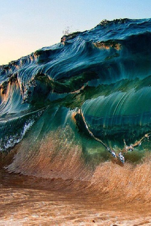 Random Beauties in Nature - B NOTES OF INSPIRATION