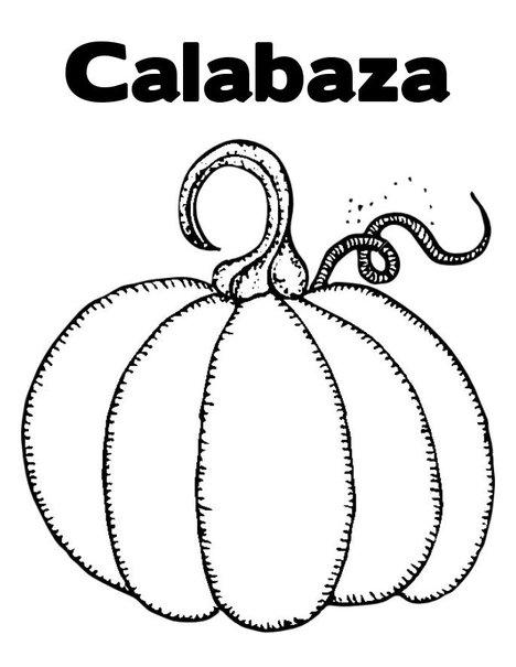 RECURSOS y ACTIVIDADES para Educación Infantil: Vocabulario de los ...