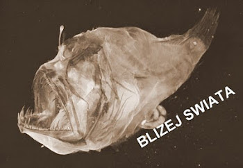 BLIŻEJ ŚWIATA: Katalaza: " Być albo nie być- oto jest pytanie..."