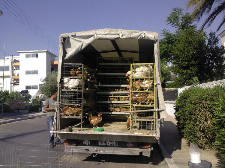 ΣΥΝΔΙΚΑΤΟ ΜΙΚΡΟΠΩΛΗΤΩΝ ΕΛΛΑΔΑΣ: ΔΕΛΤΙΟ ΤΥΠΟΥ ΠΦΠΟ ΓΙΑ ΤΙΣ ΥΠΑΙΘΡΙΕΣ ...