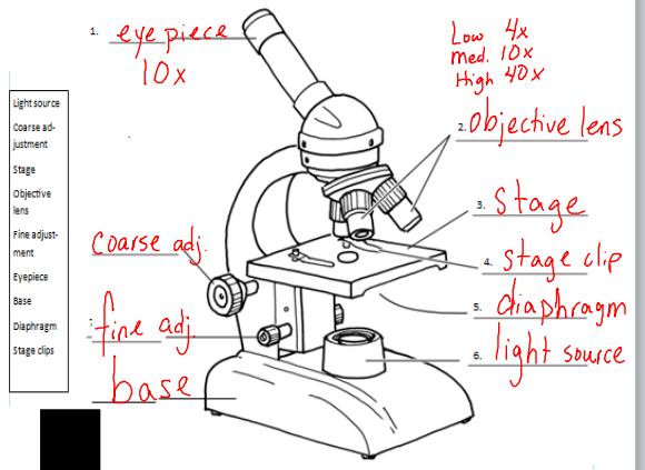 Mrs. Counts 7th grade Science Class: October 2017