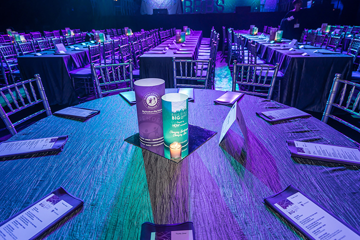 Illuminaria - Lit From Within