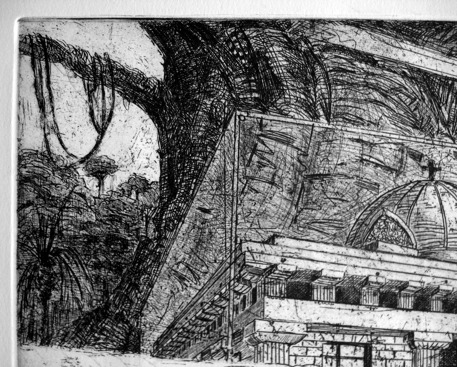 JACK'S BLOG-ART: Orto Botanico Palermo- incisione calcografica