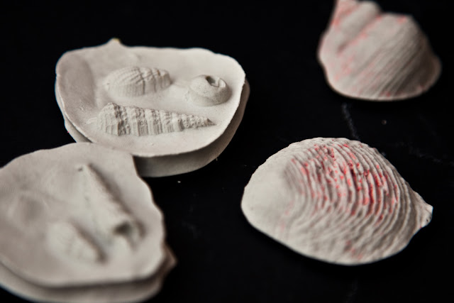 Make and Play: Sea shells, plaster cast / Odlivci školjki u gipsu