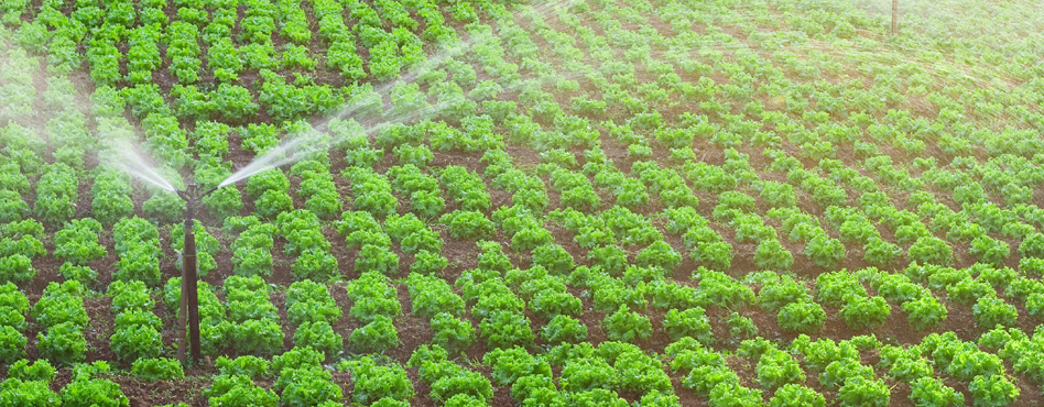 Saudi Mais Co. for Irrigation System Ltd.