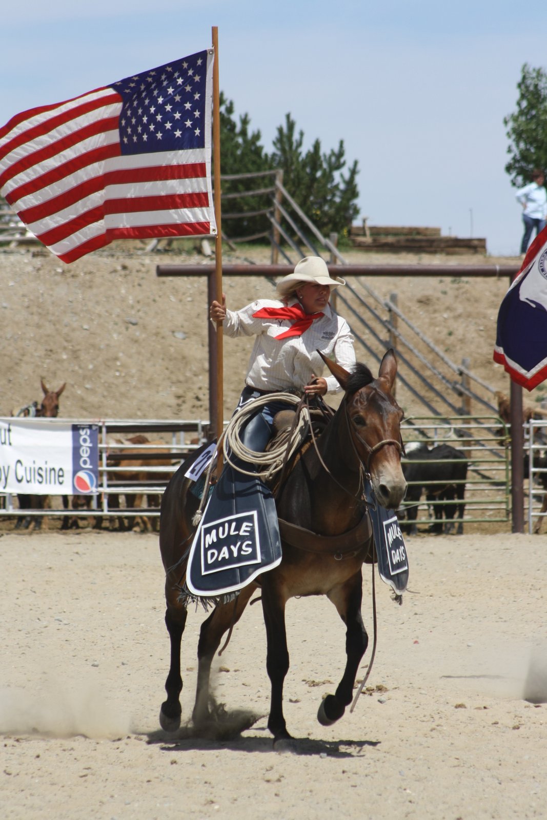 PairADice Mules: Jake Clark Mule Day Rodeo