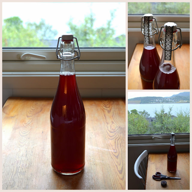 Xarope de Groselha, com e sem Açúcar