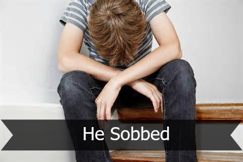 Families Again: I Went to Court the Other Day. He Sobbed!