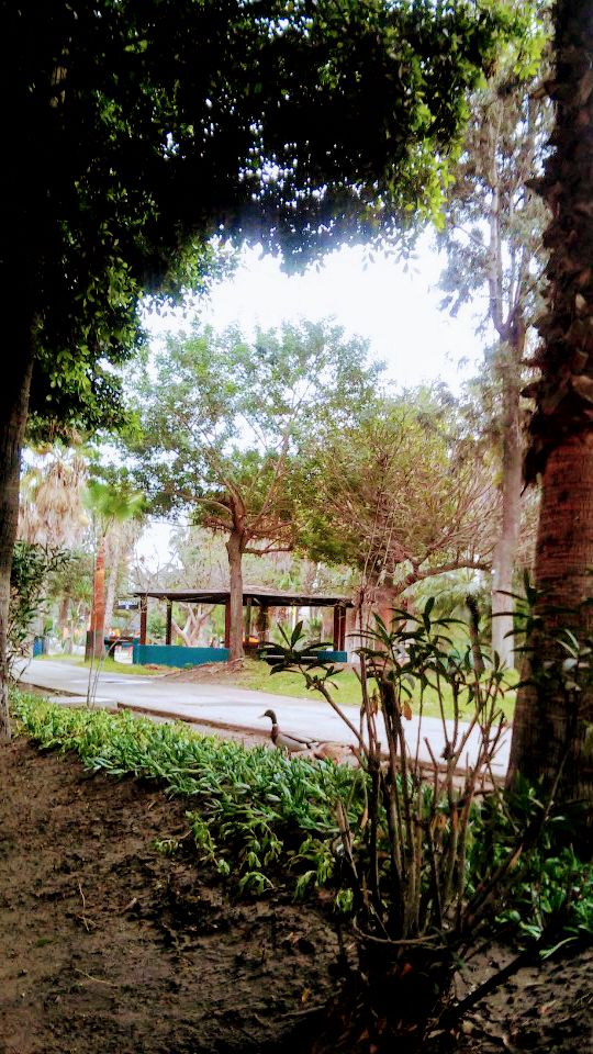 Visite el Parque Morelos de Tijuana