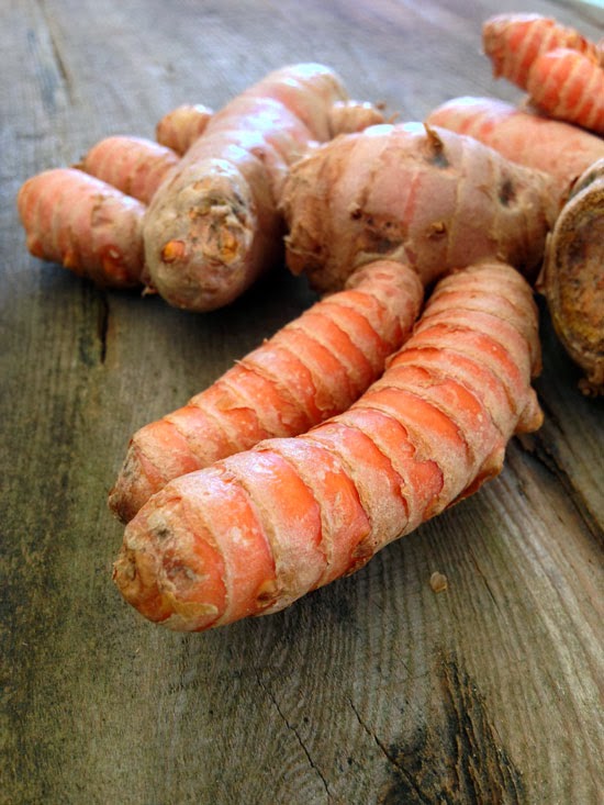 The Rainforest Garden: How to Grow Turmeric