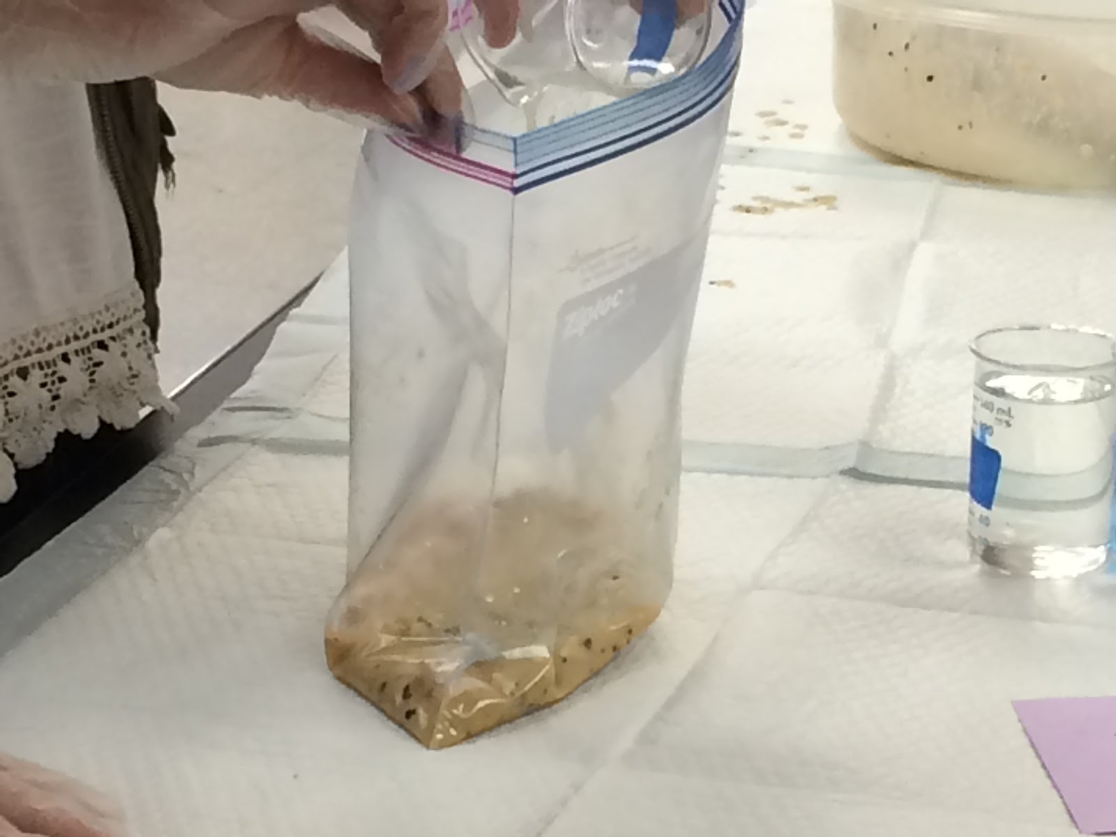 Trent Crean 2016-2017 Digital Notebook: Making Poop: A Look at the ...