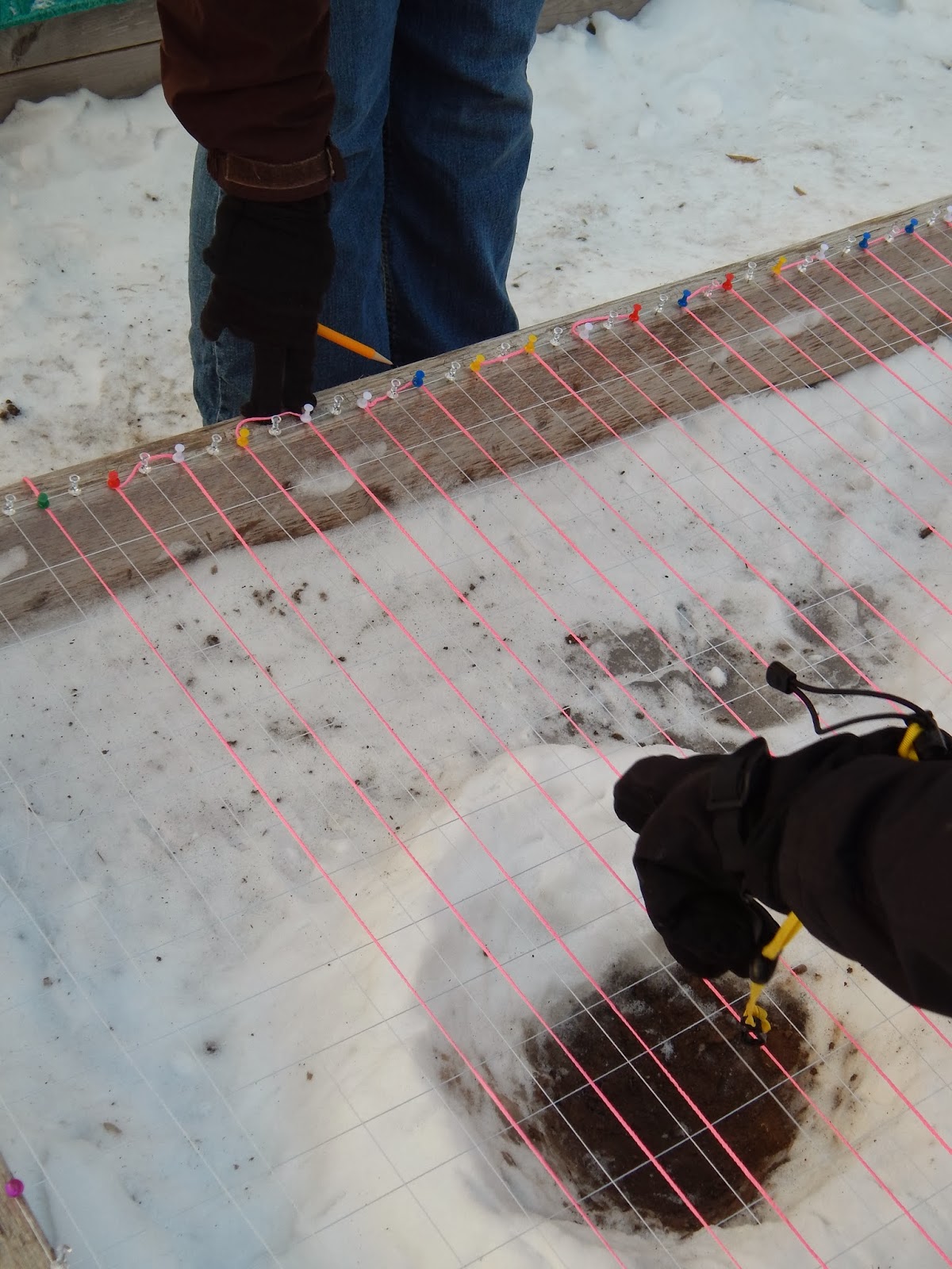 Geographic Field Methods: Field Activity #2: Visualizing and Refining ...