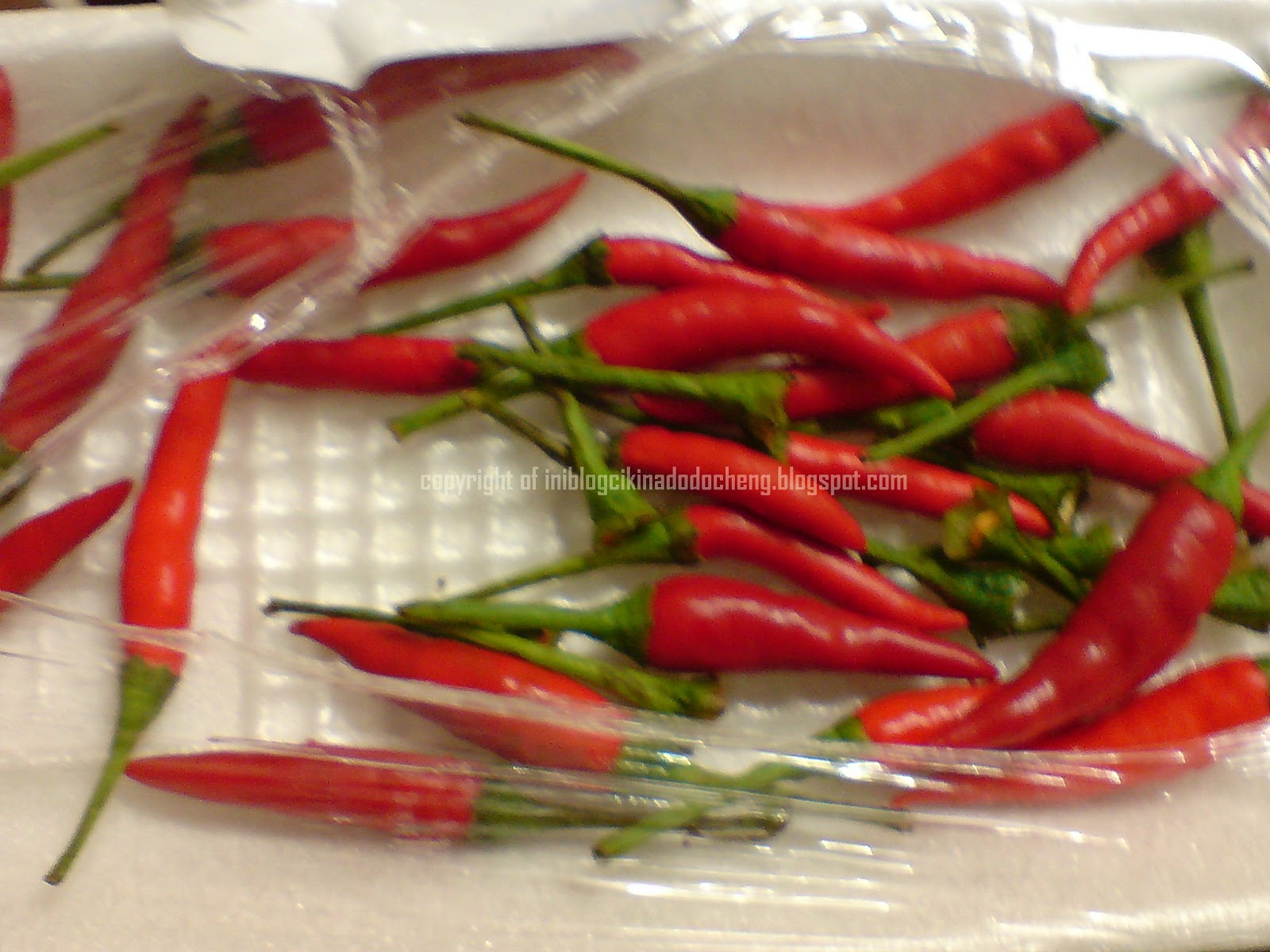 blog cik ina do do cheng: aneka resepi dari cili api ; resepi yang ...