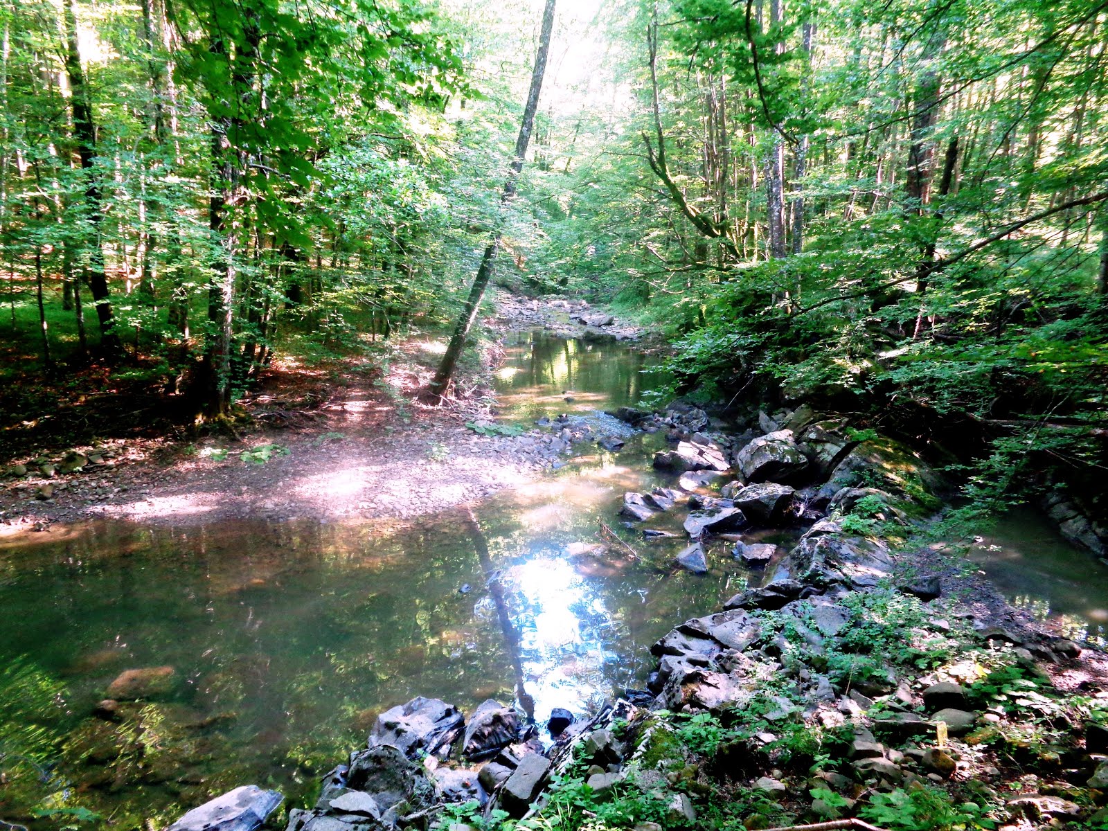 ESCURSIONI NEI DINTORNI DI TRIESTE: Video sul Timavo e le grotte di San ...