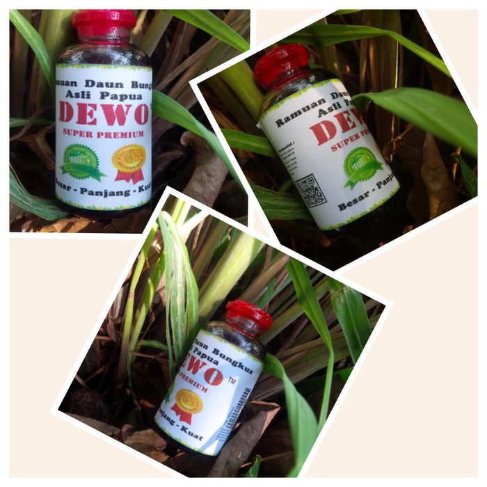 Daun Bungkus Oil Asli Papua : Cari Herbal l Toko Herbal I Jual Herbal ...