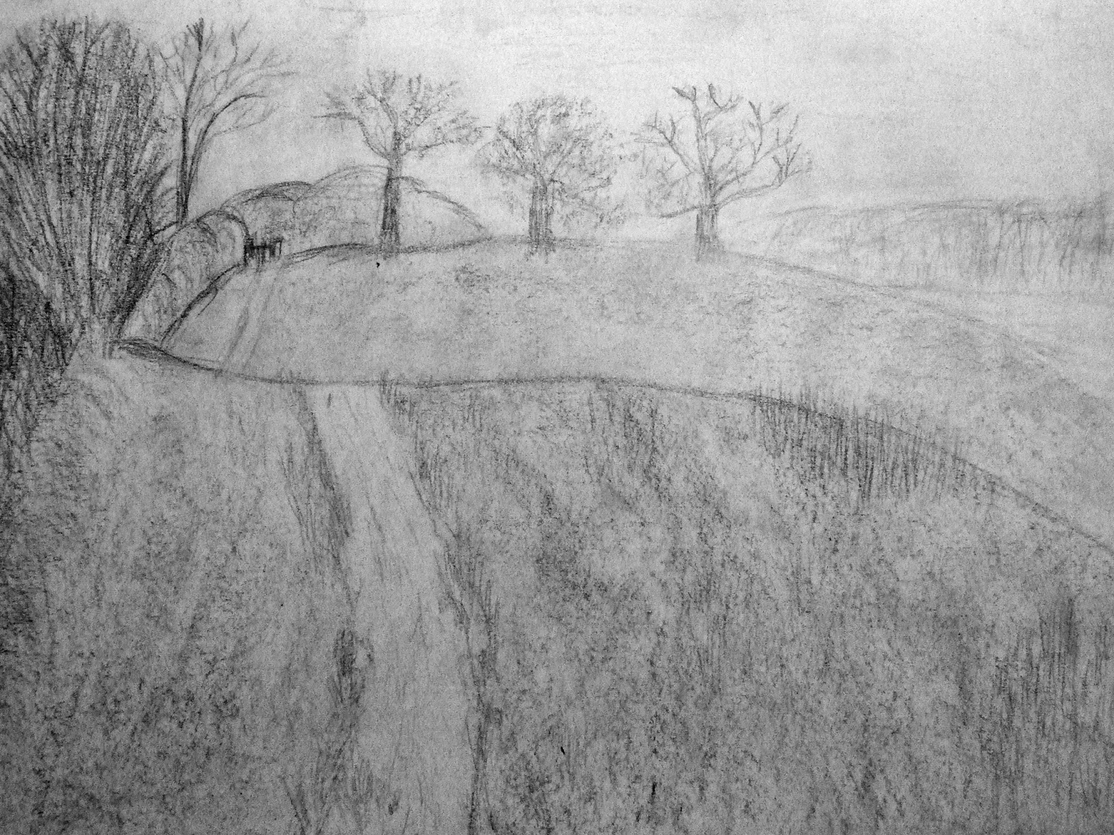 Z.Grainger Observational Art: Curves in Landscape