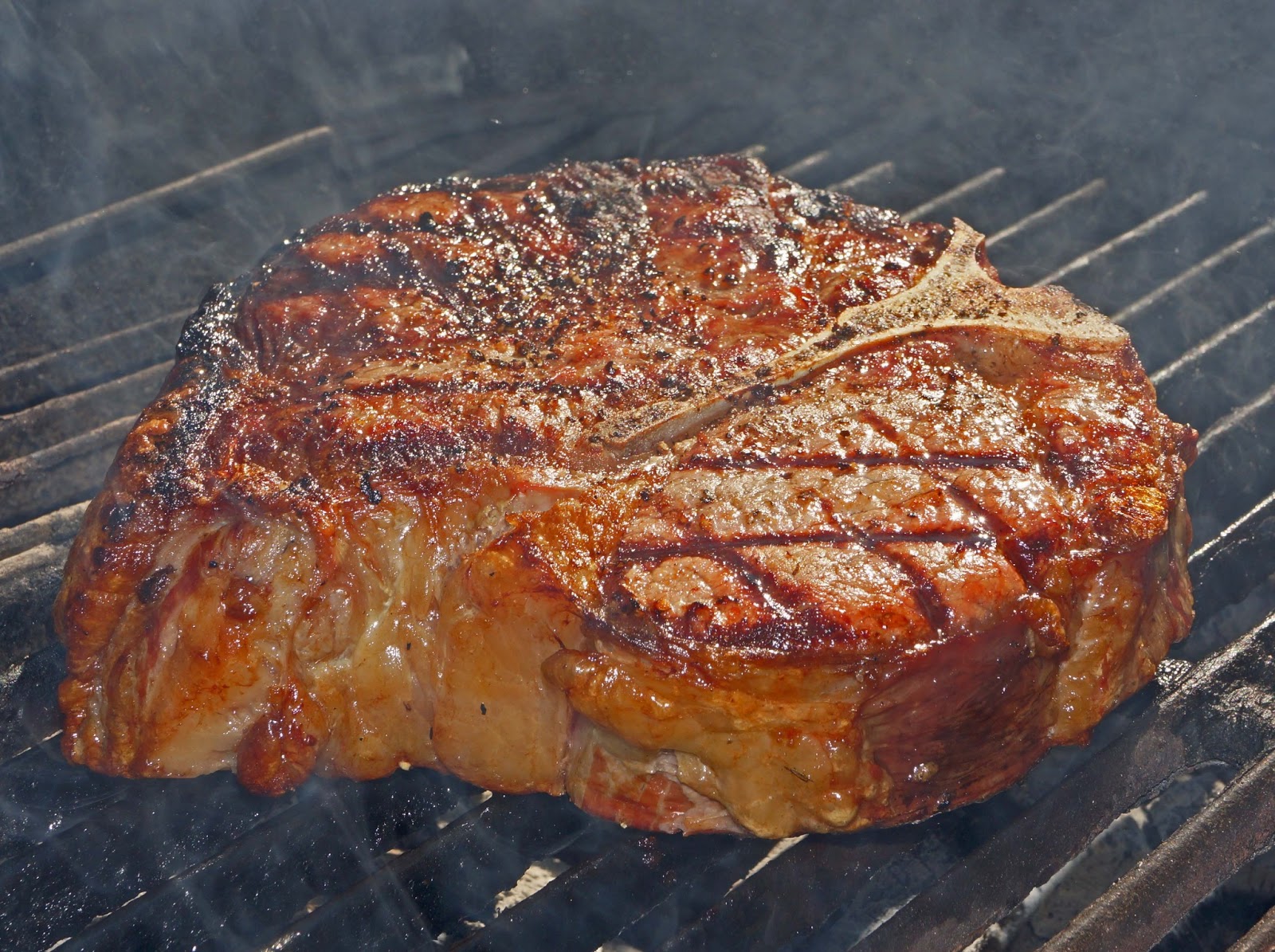 MAD MEAT GENIUS: T-BONEASAURUS REX