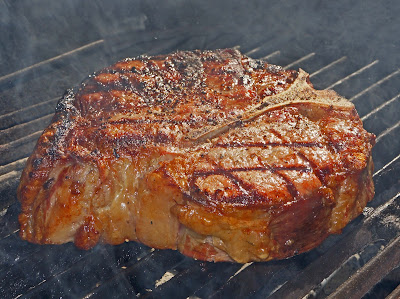 MAD MEAT GENIUS: T-BONEASAURUS REX