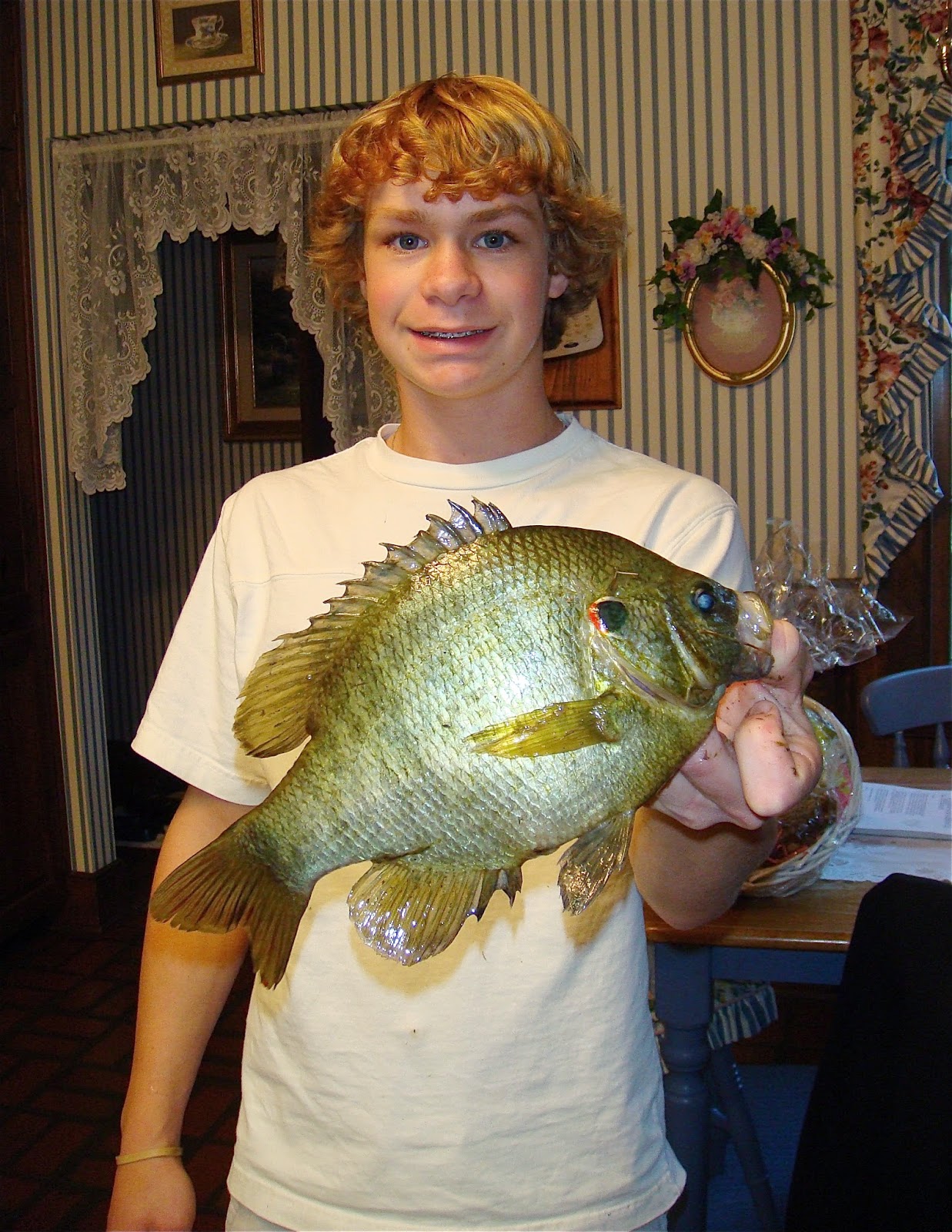 Sweet Southern Days: Restocking The Fish Pond