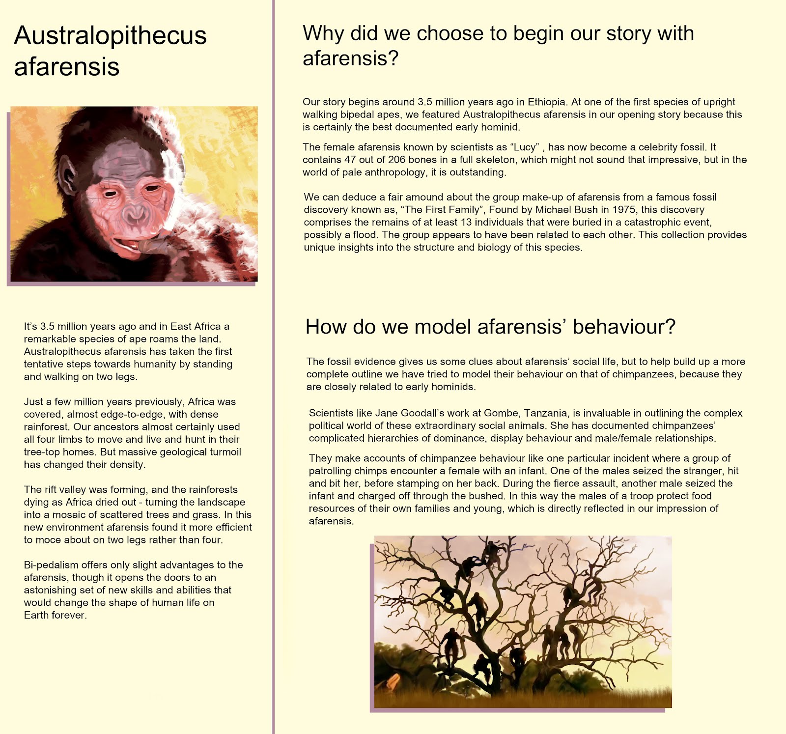 Evolutionary Trail: Final australopithecus concepts