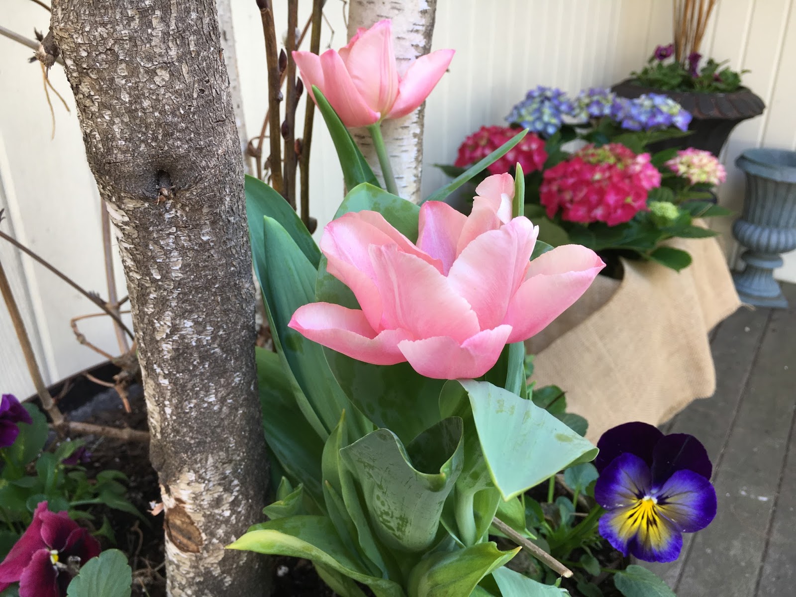 DesignsandEvents: Decorating the Front Porch with Spring Flowers
