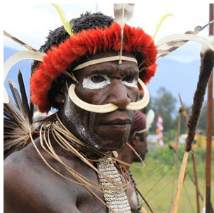 Mengenal Suku Dani Papua | Greenbirepapua