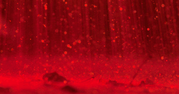 InfoFacts: Red Rain