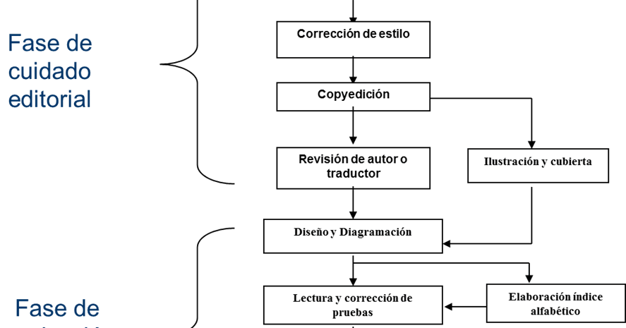 Expresión Gráfica y Visual: Pasos del proceso editorial
