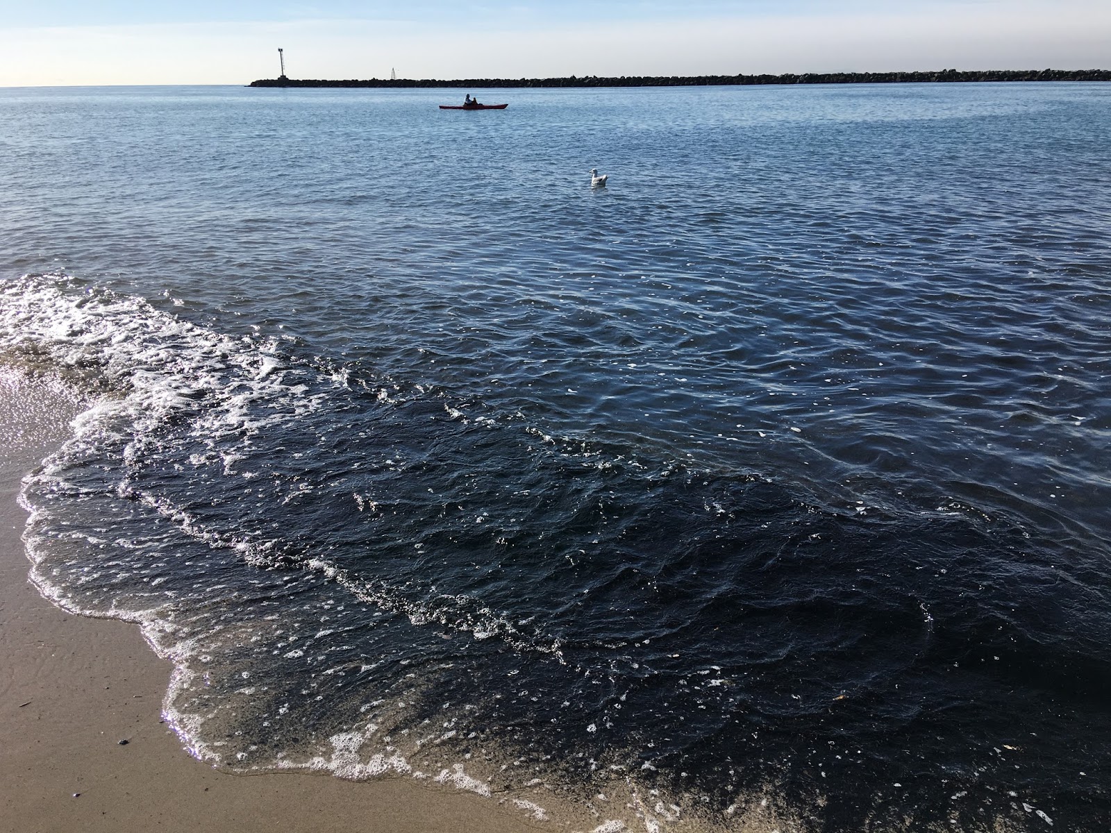 Leaving Divorceville: Saturday Morning Beach Report: Many Musings