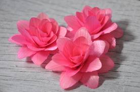 FLOWERS ENCYCLOPAEDIA: Tuberose Flowers