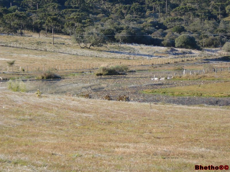 LeãoBaioMotorClub: IMAGENS DO INVERNO LAGEANO - GEADA (LAGES - SC -BRASIL)