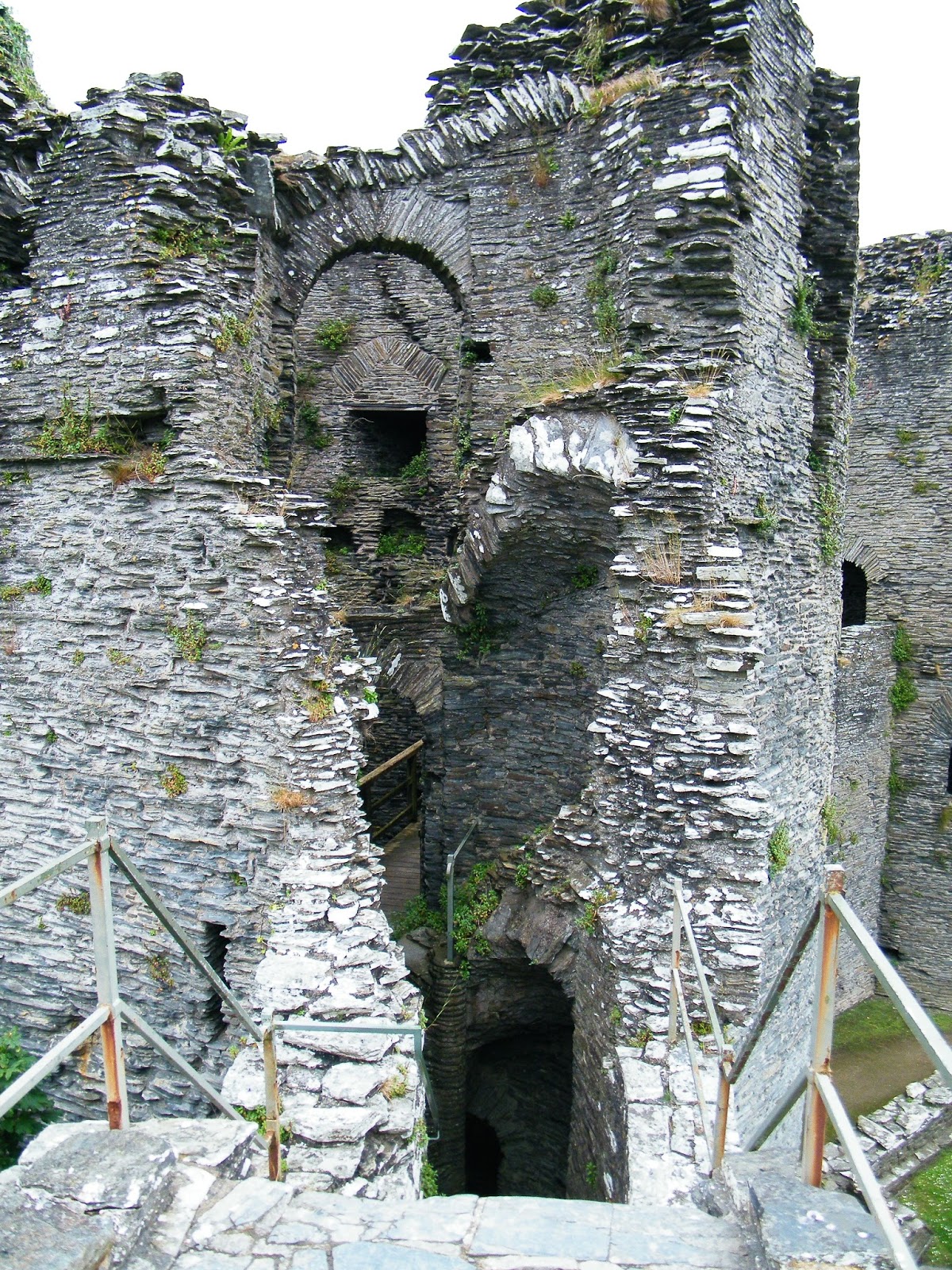 GREX LUPORUM: CILGERRAN CASTLE - CEREDIGION / WALES 2017