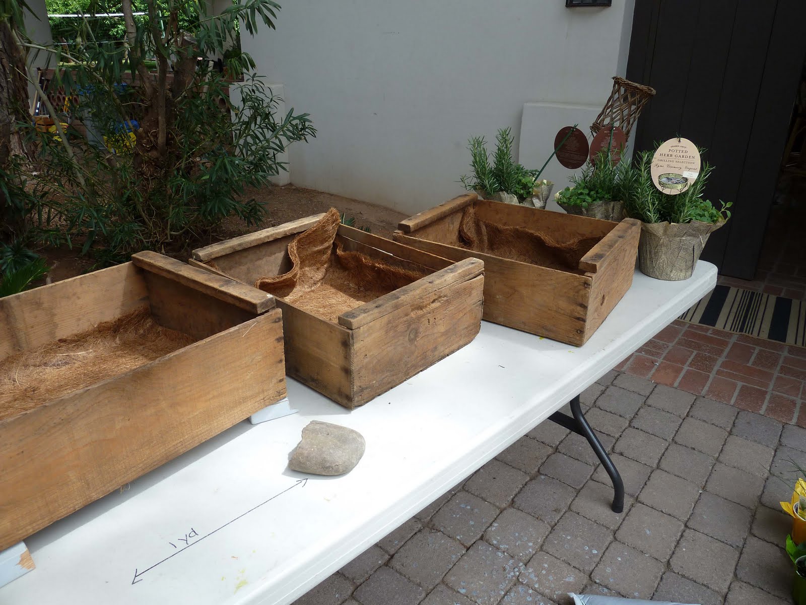 The Willows Home & Garden: garden boxes