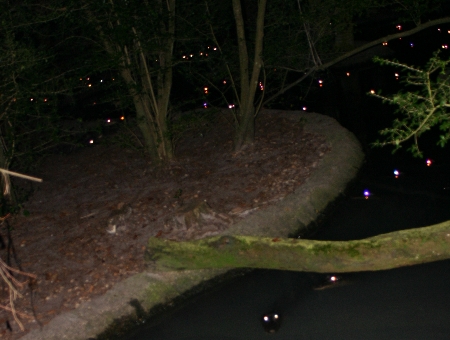 My favourite picture from the 2012 Wildlife Photographer of the Year ...