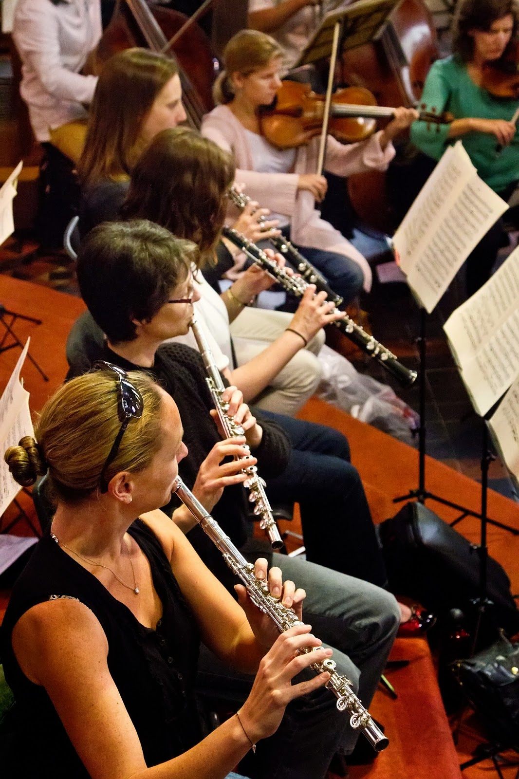 The Southern Sinfonia Blog: The Woodwind Section under the Spotlight