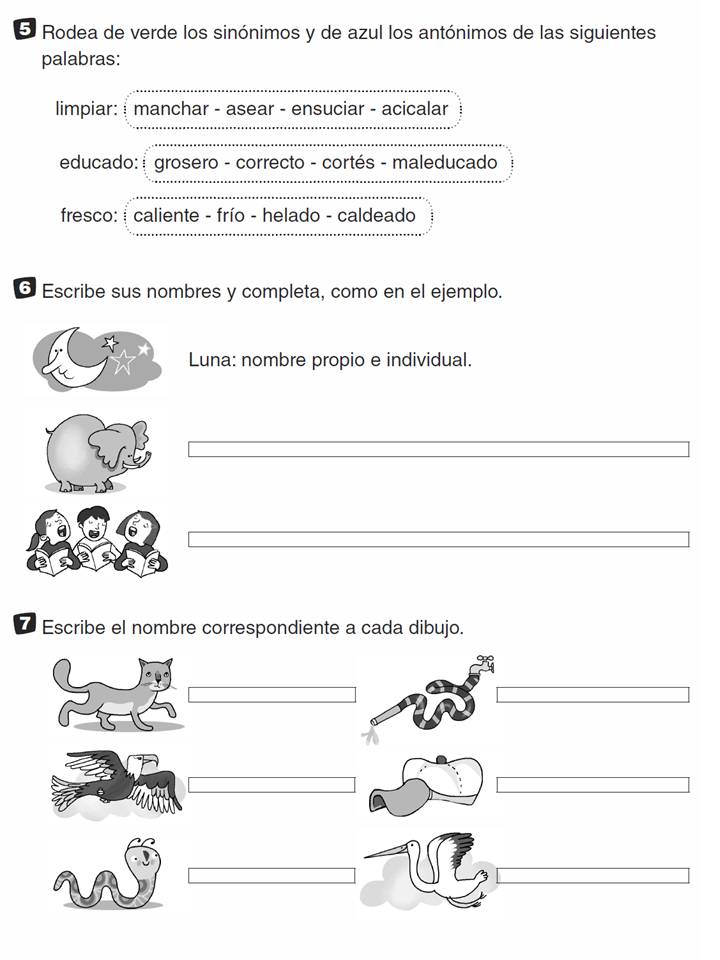 *Mi maestra Rocío*: REPASO UNIDAD 4 DE LENGUA PARA SEGUNDO DE PRIMARIA