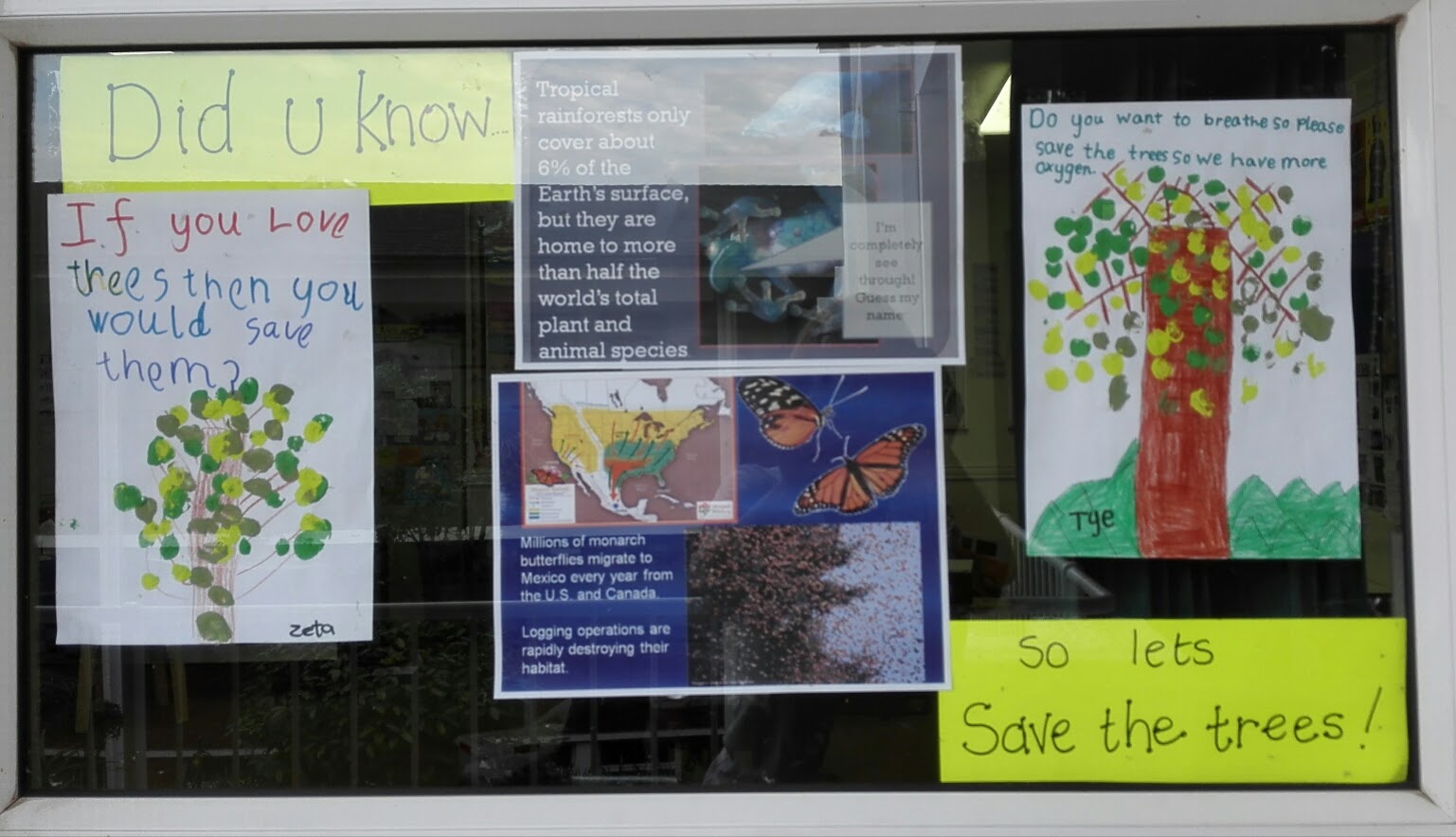 Eco Time Eden: Save our Trees! Posters by the Grade twos.