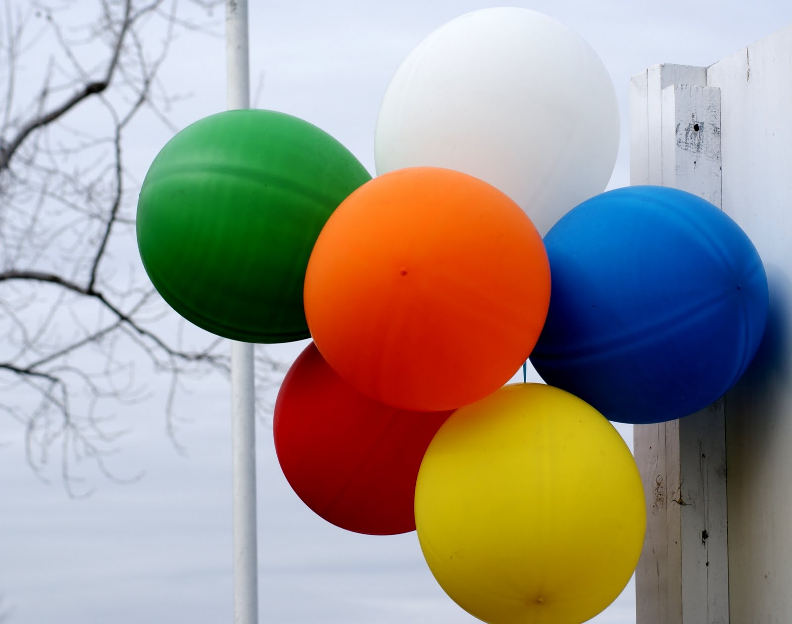 A photo, A thought............: Observation: Clusters of balloons