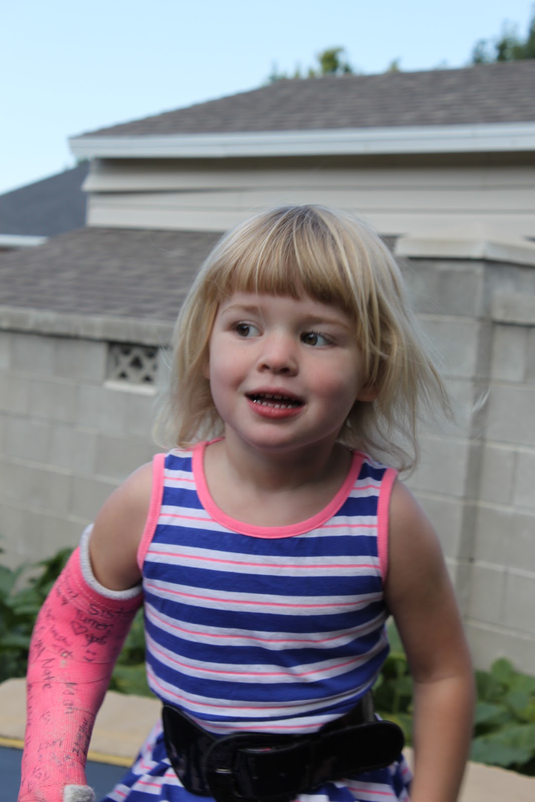 Twelve Makes a Dozen: June 2015