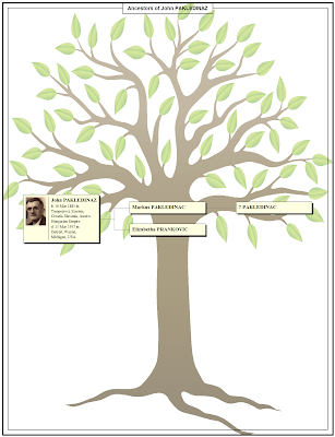 Diggin' for Family: Pakledinaz