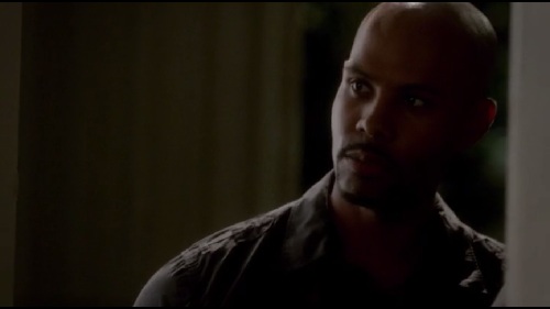 "Fiction reveals truths that reality obscures. ": THE VAMPIRE DIARIES ...