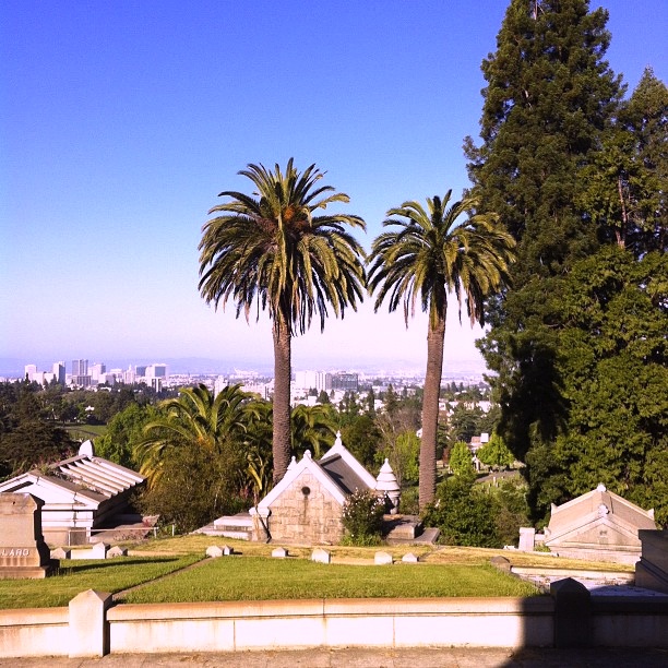 Lives of the Dead: Mountain View Cemetery in Oakland: Johnny Skae (1842 ...