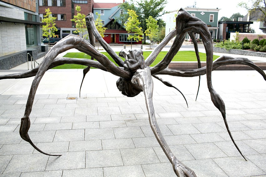 OTIS (Odd Things I've Seen): Spider, Spider Burning Bright: Louise ...