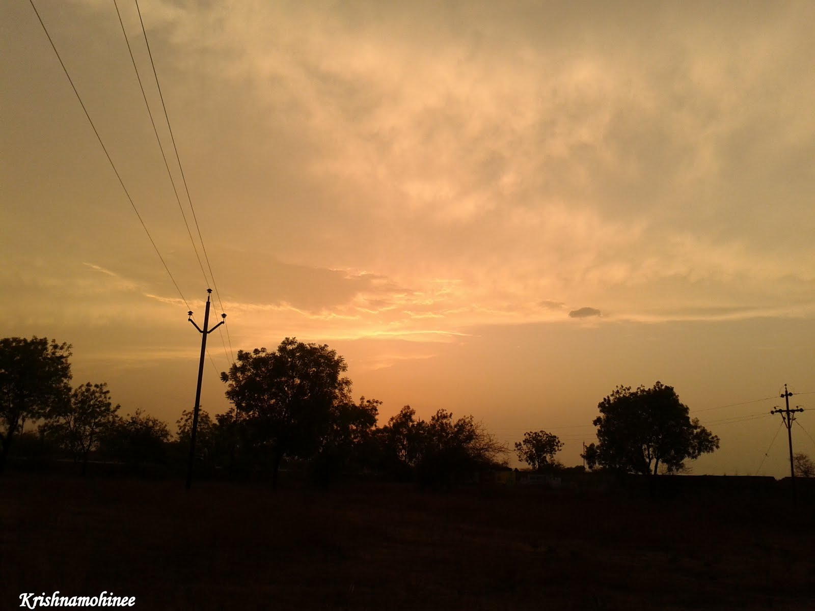 Peaceful Saffron - Golden Sky