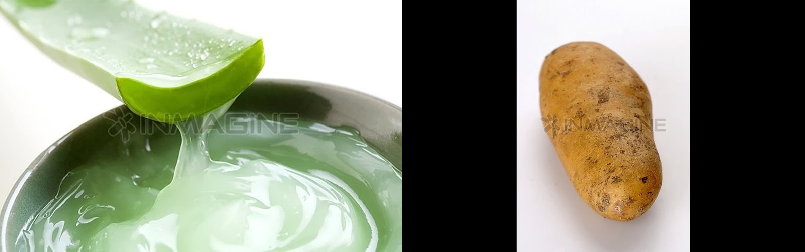 AfroChops : Help For Dry Hair