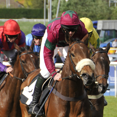 a weblog in the life of a welsh monkey