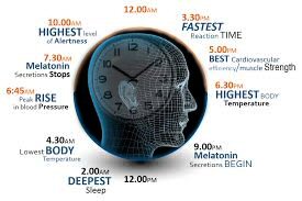 Biological Clock Circadian Rhythms: No Ordinary Watch