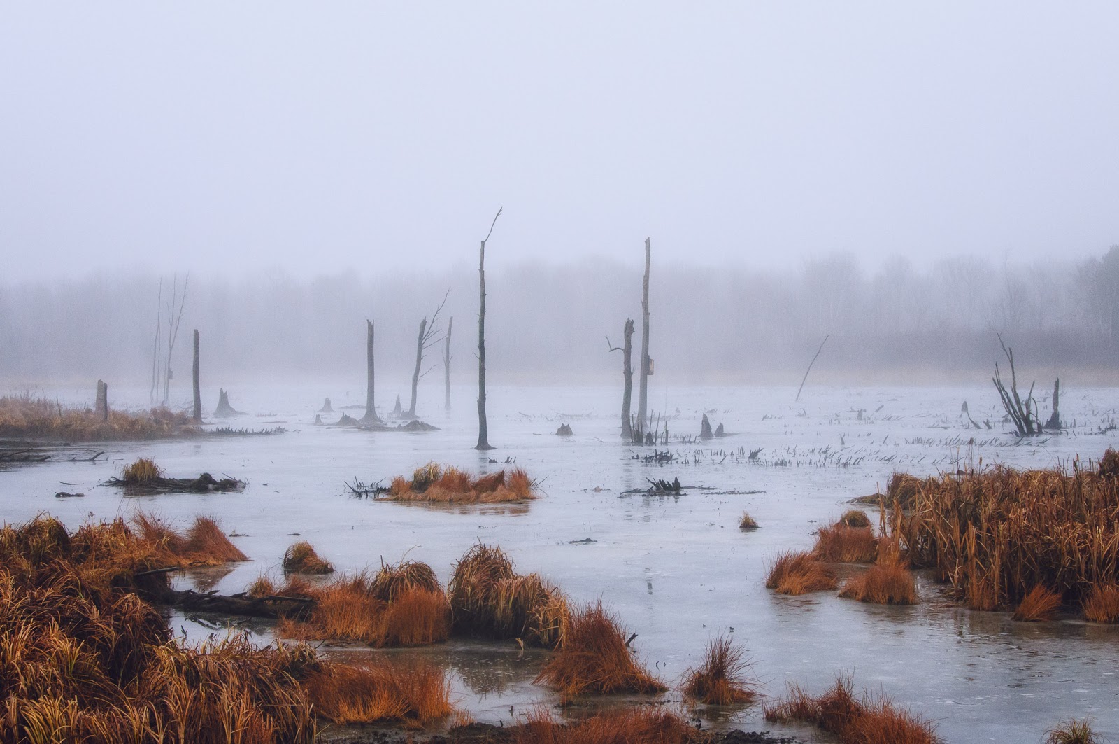 Soul Centered Photography: A foggy day in northern Wisconsin