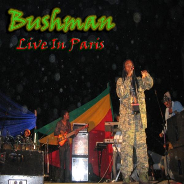 Achis' Reggae Blog: Discography: Bushman