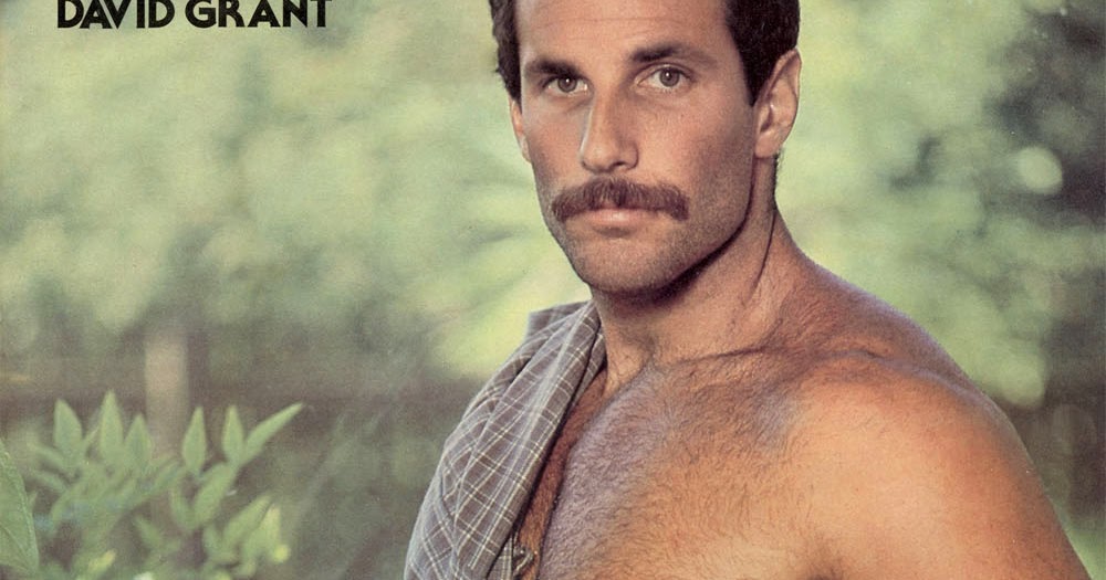 COLEÇAO VARIOS ATORES: DAVID GRANT